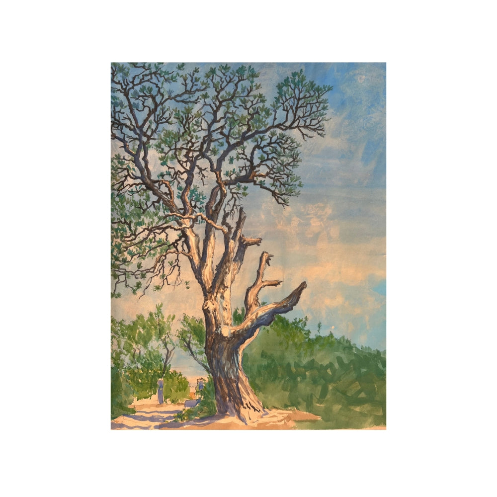 Gregory Alexander-BANKSIA TREE – RICKETTS POINT- Seven Creatives ...