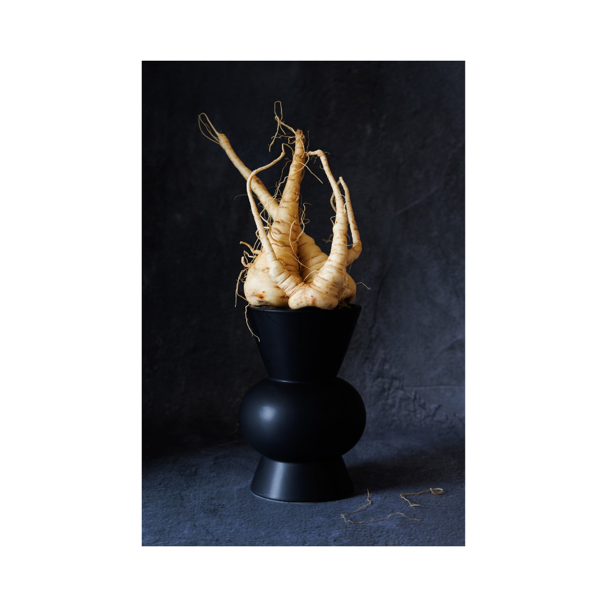 Tangled Harvest - Sally Paterson – Bayley Arts